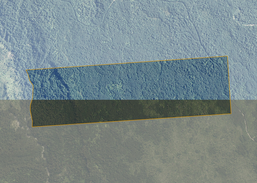 Rowallan Block VII Section 12 | Te Tumu Paeroa